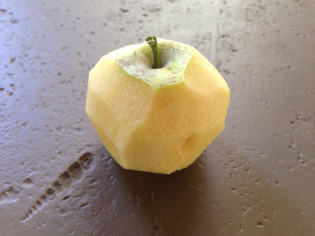 Munchkin Meals: Food On The Go | Sweet Pea Families